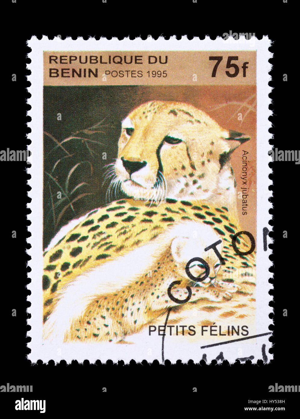 Postage stamp from Benin depicting a cheetah (Acinonyx jubatus) with ...
