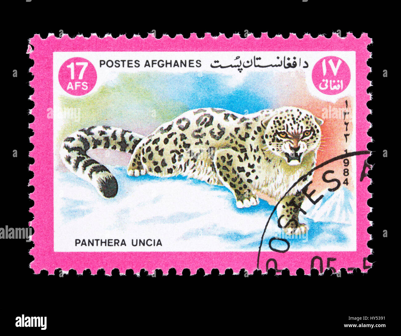 Postage stamp from Afghanistan depicting a snow leopard (Panthera Uncia ...