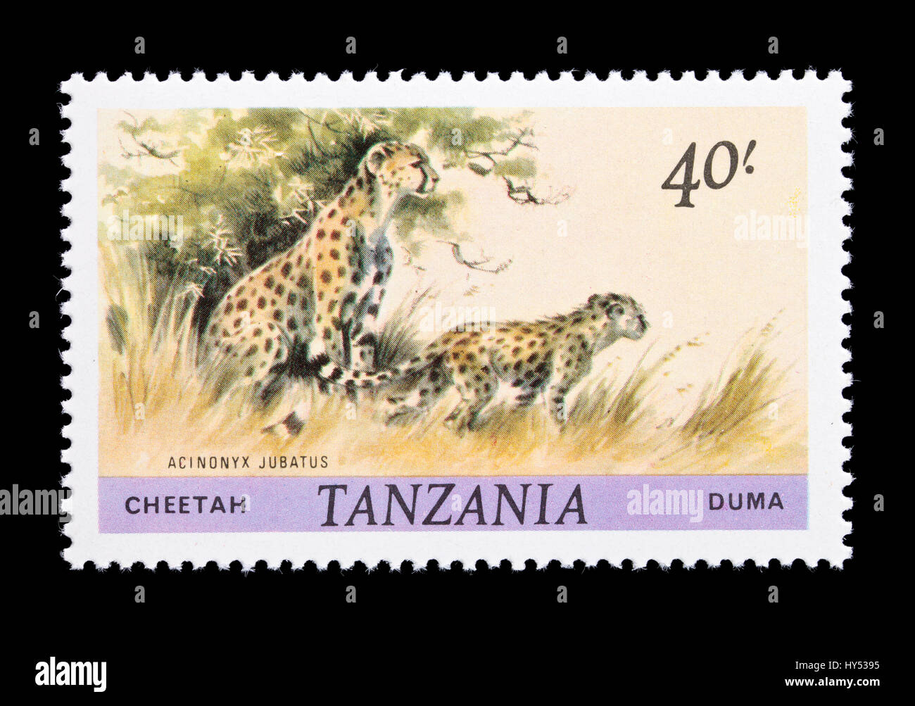 Postage stamp from Tanzania depicting a cheetah (Acinonyx jubatus Stock ...