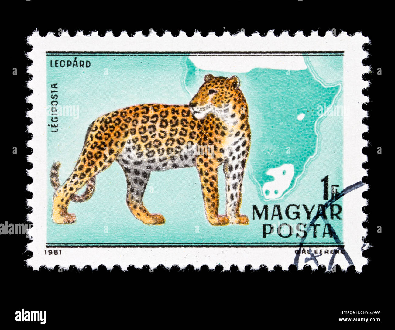 Postage stamp from the Hungary depicting a leopard (Panthera pardus ...