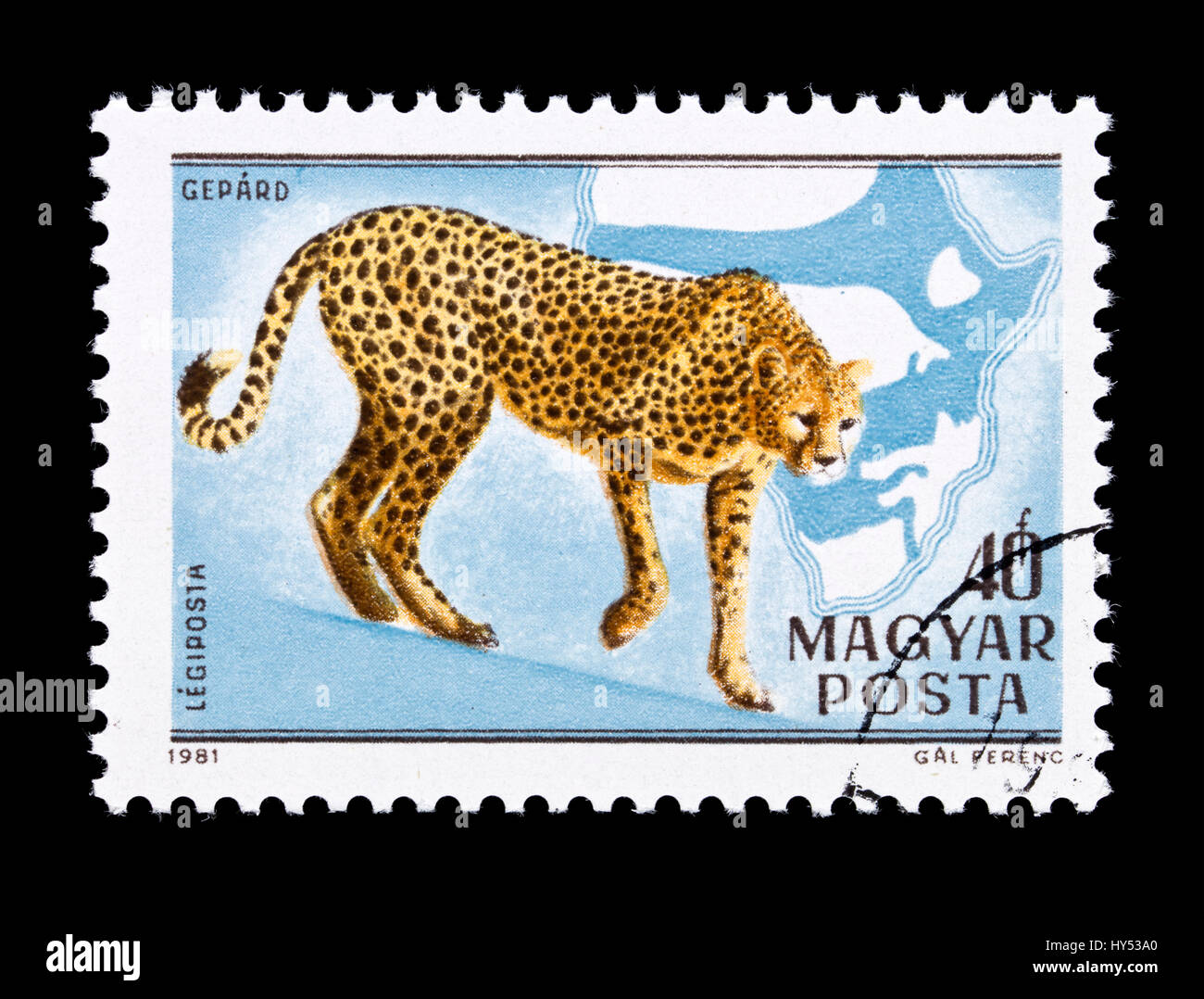 Postage stamp from the Hungary depicting a leopard (Panthera pardus ...