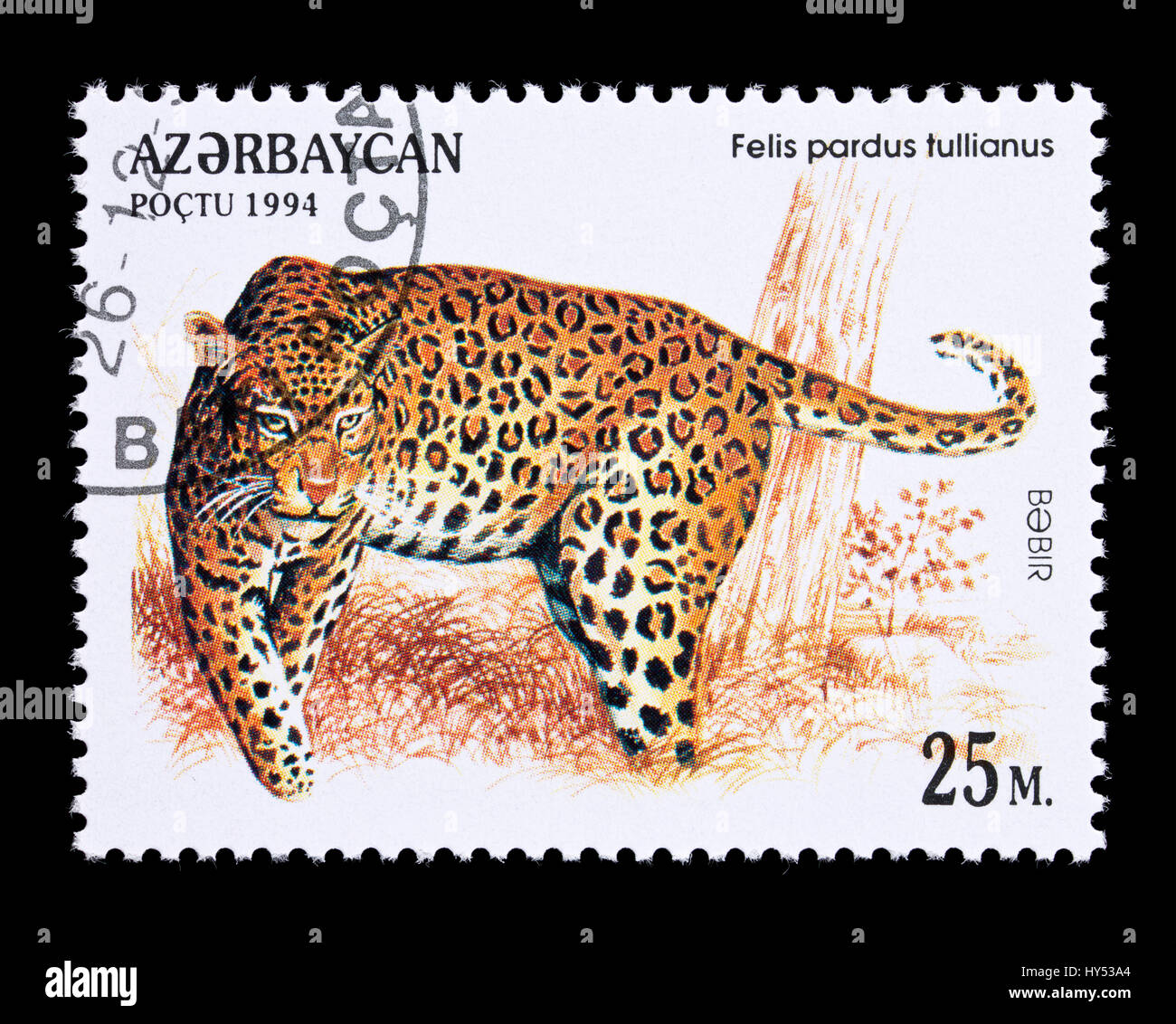 Postage stamp from the Azerbaijan depicting a leopard (Panthera pardus ...