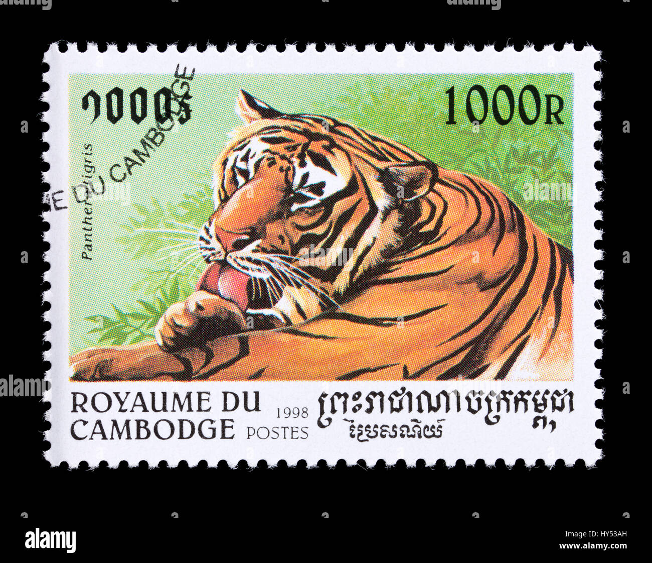 Tiger panthera tigris postage stamp hi-res stock photography and images ...