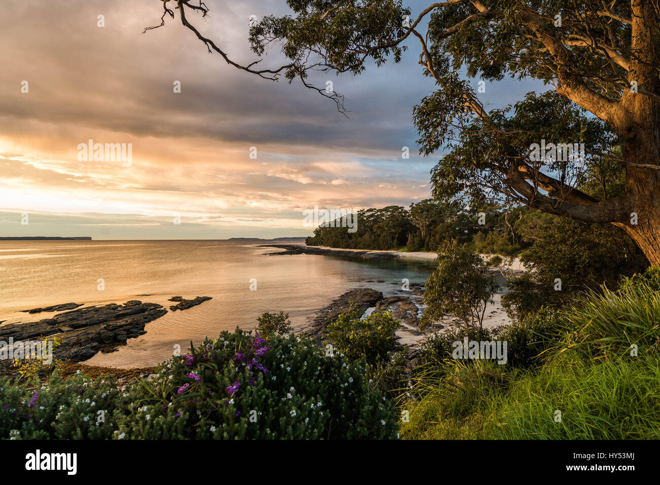Huskisson australia hi-res stock photography and images - Alamy