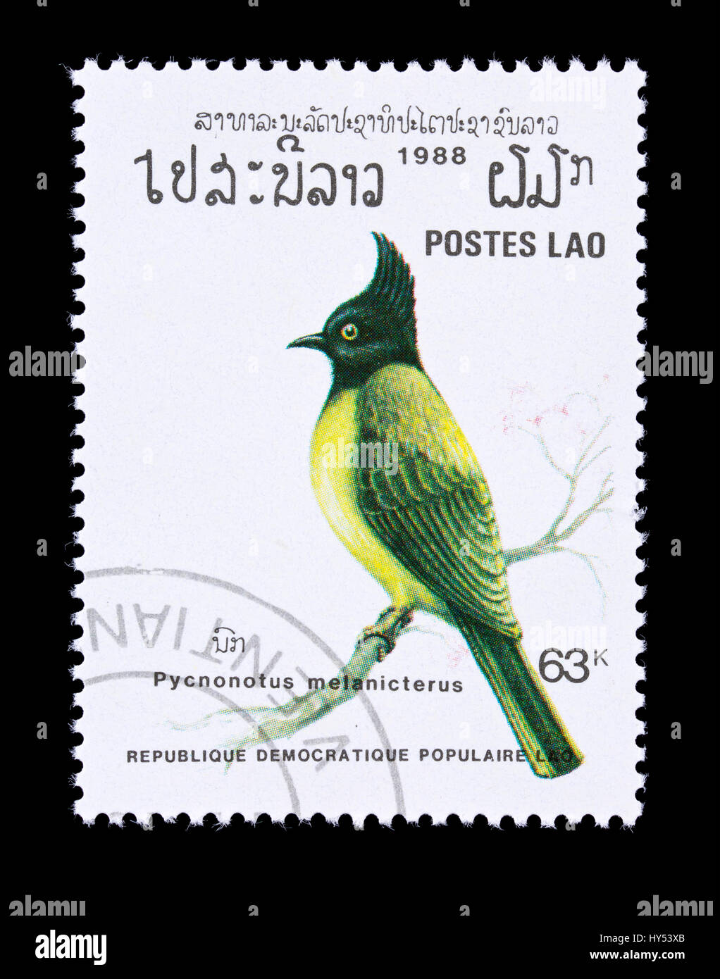 Yellow stamp hi-res stock photography and images - Alamy