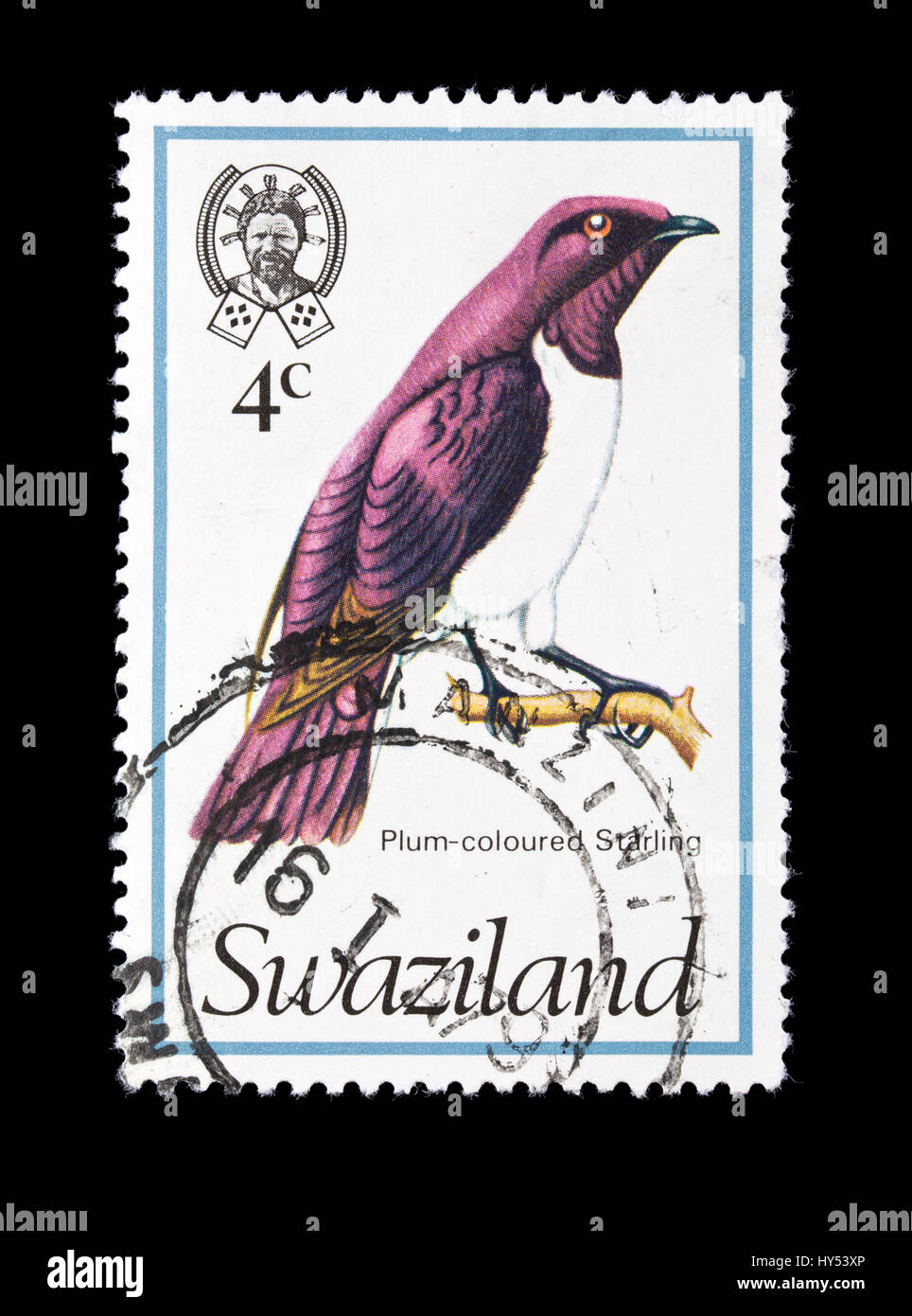 Postage stamp from Swaziland depicting a Plum-coloured Starling ...