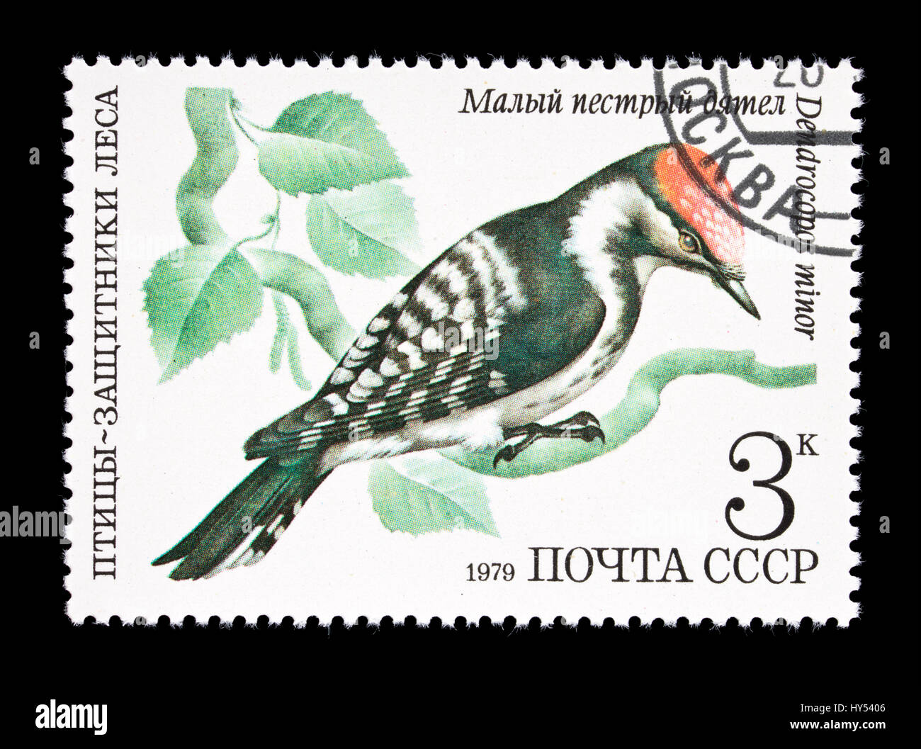 Postage stamp from the Soviet Union depicting a lesser spotted ...