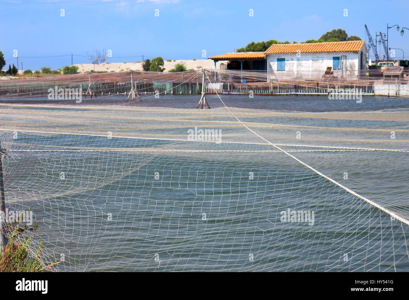 Seafood farming hi-res stock photography and images - Alamy