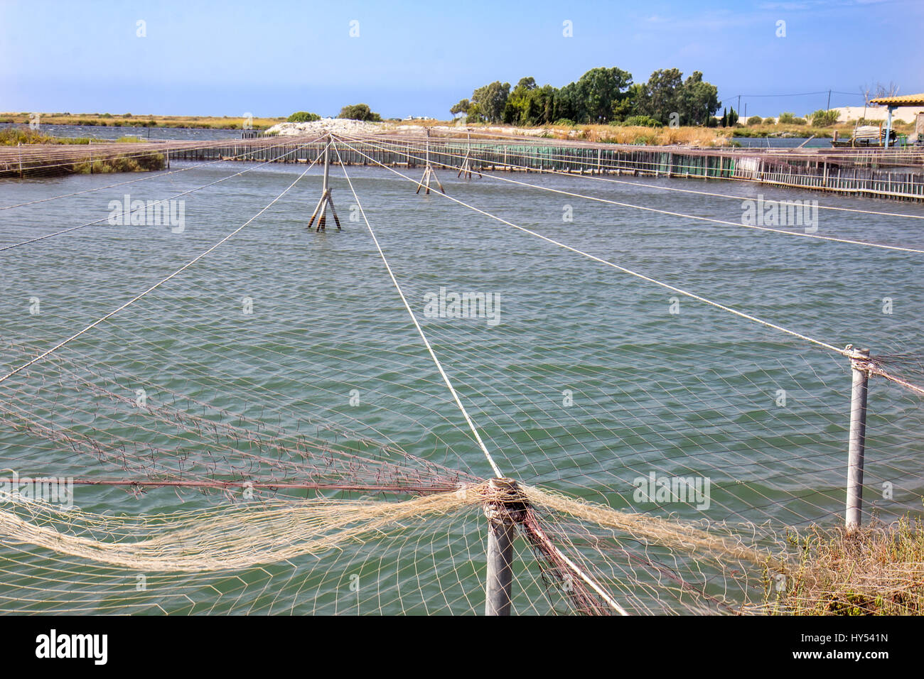 Seafood farming hi-res stock photography and images - Alamy