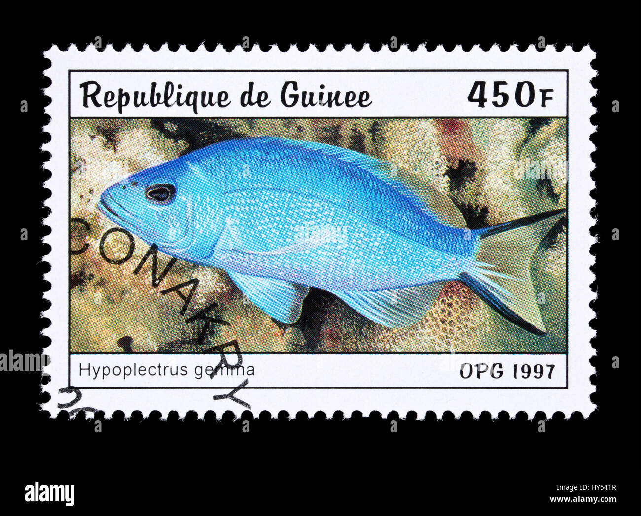 Postage stamp from Benin depicting a blue hamlet tropical fish ...