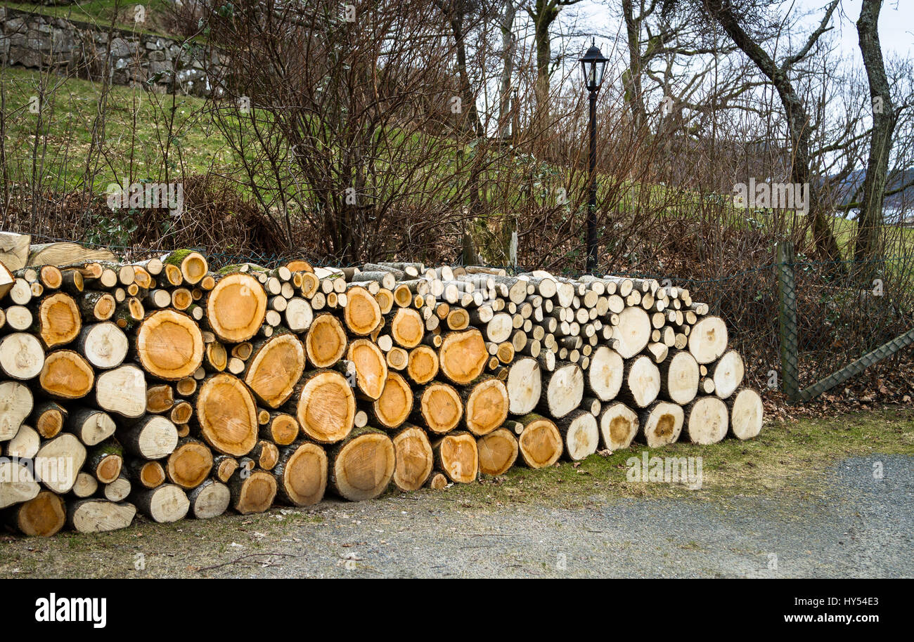 pile of natural wooden logs Stock Photo - Alamy