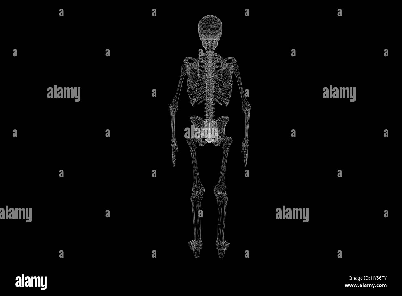 Human Skeleton Wireframe Hologram in Motion. Nice 3D Rendering Stock ...