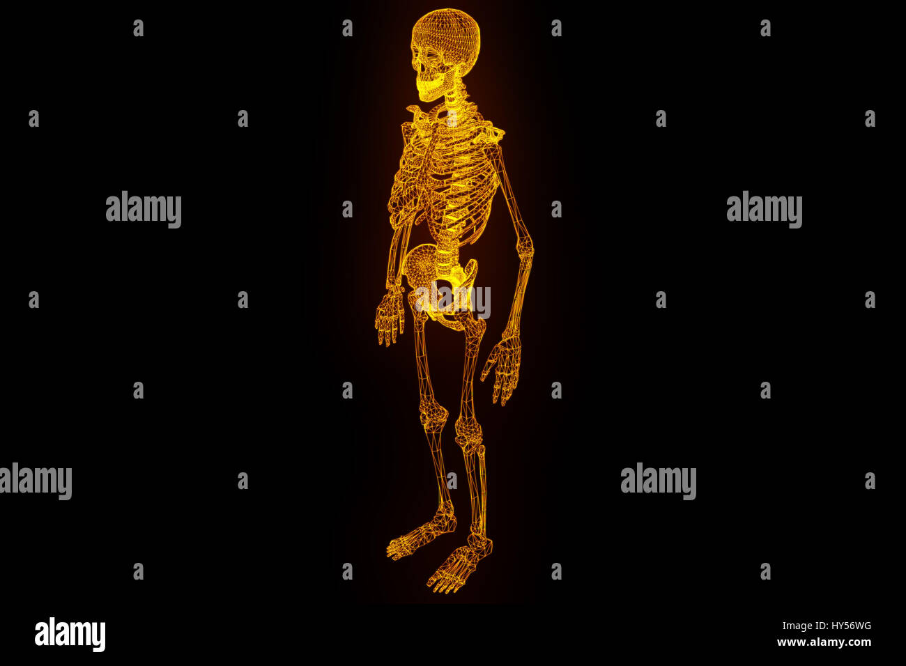 Human Skeleton Wireframe Hologram in Motion. Nice 3D Rendering Stock ...