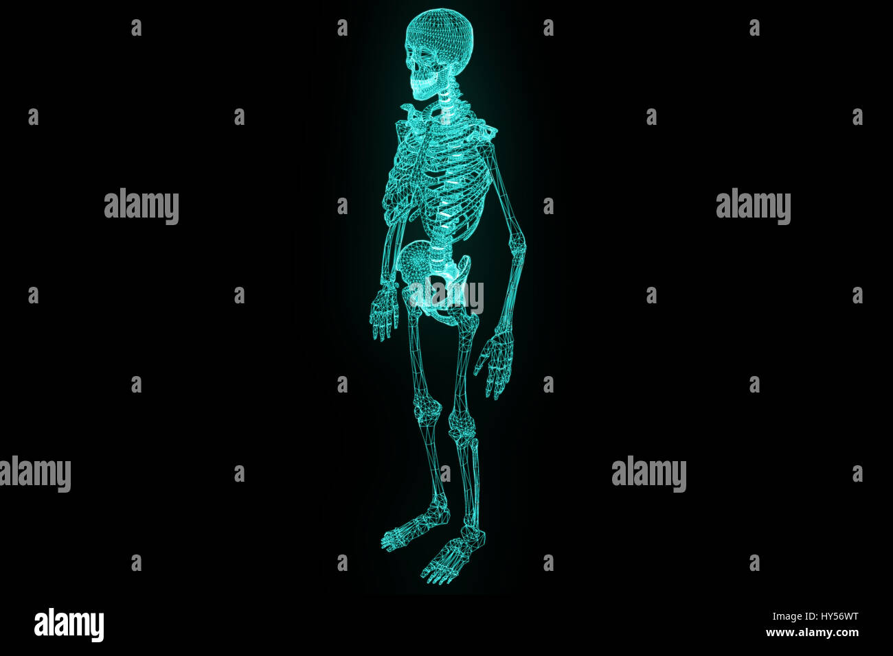 Human Skeleton Wireframe Hologram in Motion. Nice 3D Rendering Stock ...