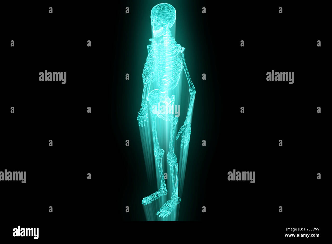 Human Skeleton Wireframe Hologram in Motion. Nice 3D Rendering Stock ...