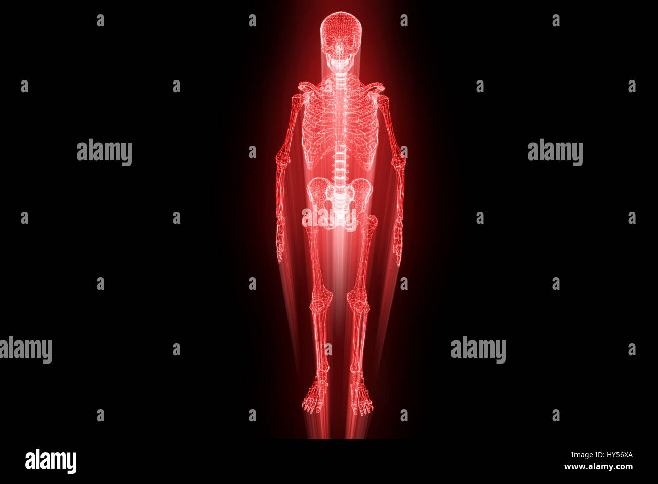 Human Skeleton Wireframe Hologram in Motion. Nice 3D Rendering Stock ...