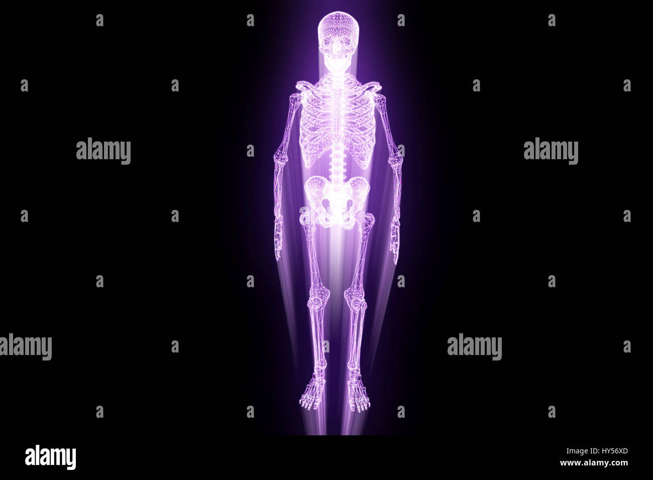 Human Skeleton Wireframe Hologram in Motion. Nice 3D Rendering Stock ...