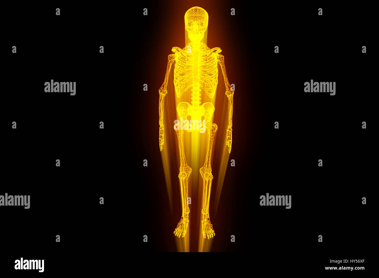 Human Skeleton Wireframe Hologram in Motion. Nice 3D Rendering Stock ...