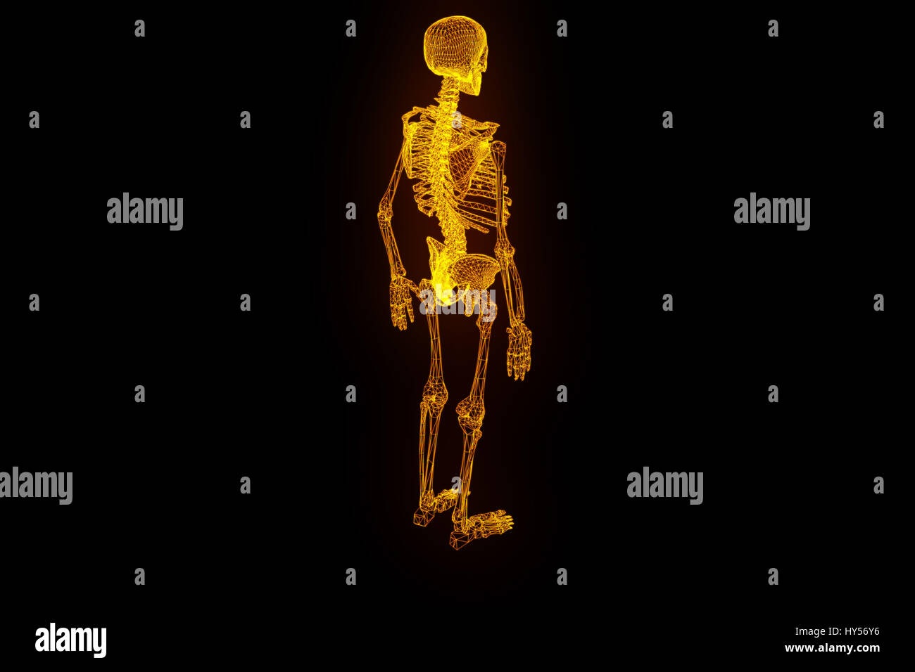 Human Skeleton Wireframe Hologram in Motion. Nice 3D Rendering Stock ...