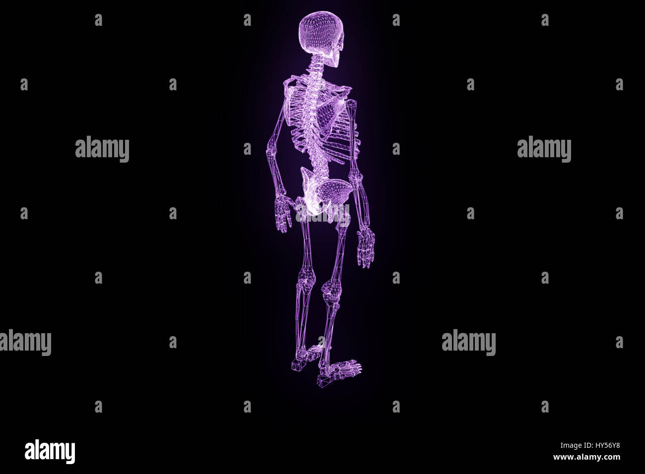 Human Skeleton Wireframe Hologram in Motion. Nice 3D Rendering Stock ...