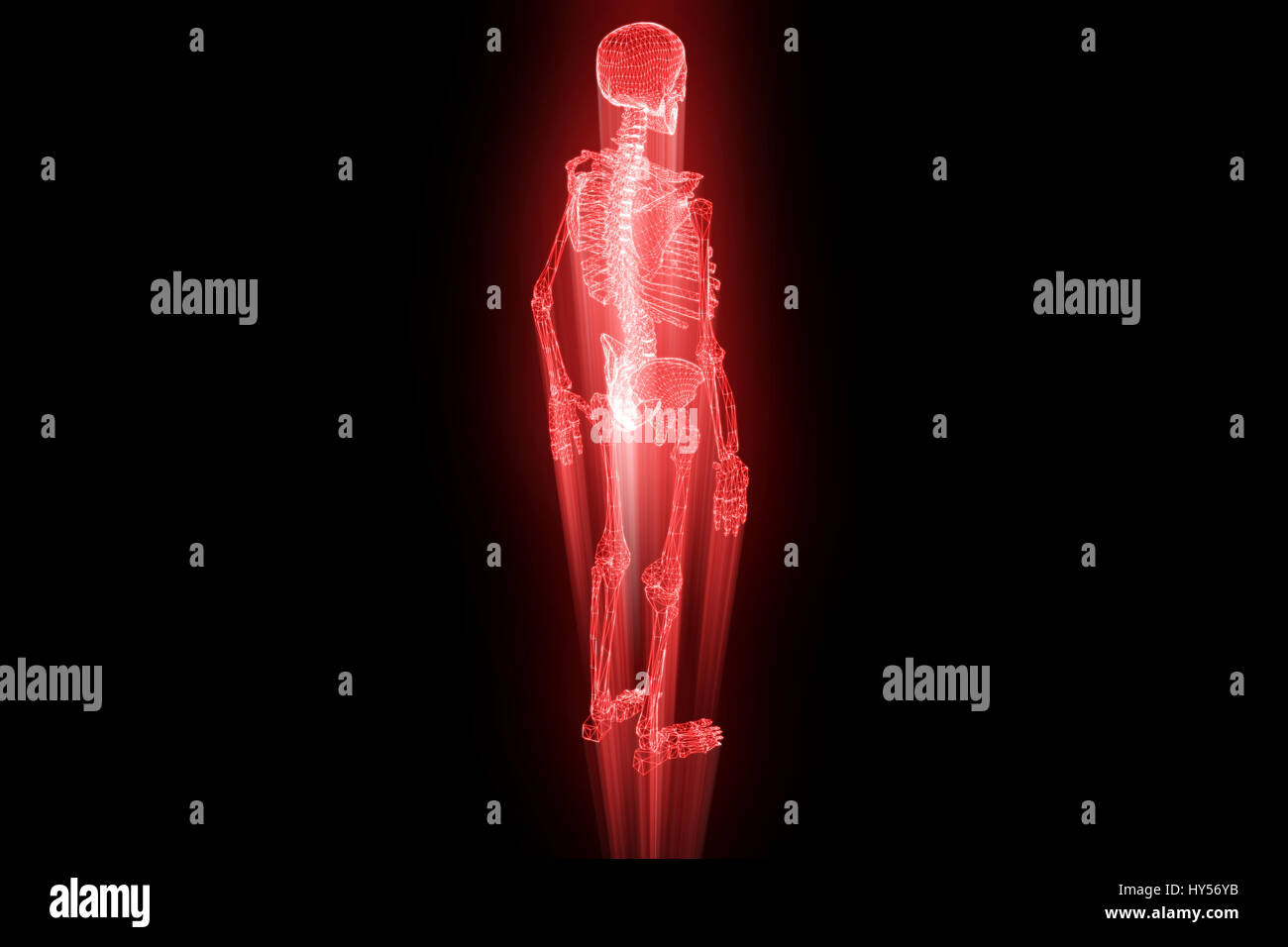 Human Skeleton Wireframe Hologram in Motion. Nice 3D Rendering Stock ...