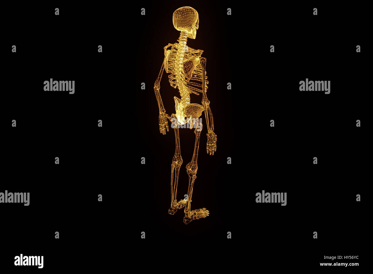 Human Skeleton Wireframe Hologram in Motion. Nice 3D Rendering Stock ...