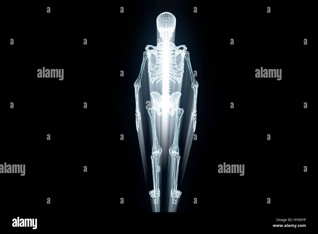 Human Skeleton Wireframe Hologram in Motion. Nice 3D Rendering Stock ...