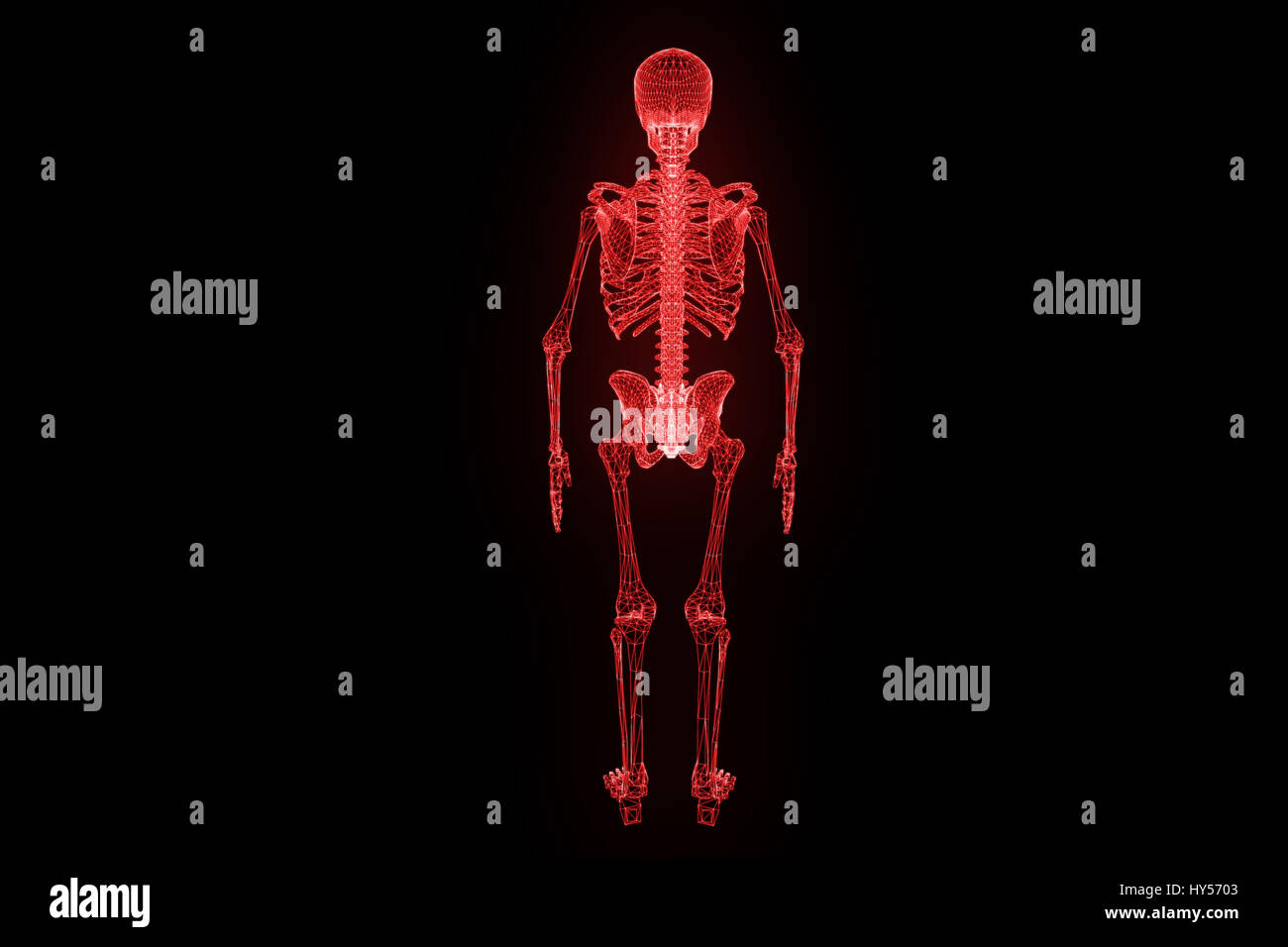 Human Skeleton Wireframe Hologram in Motion. Nice 3D Rendering Stock ...
