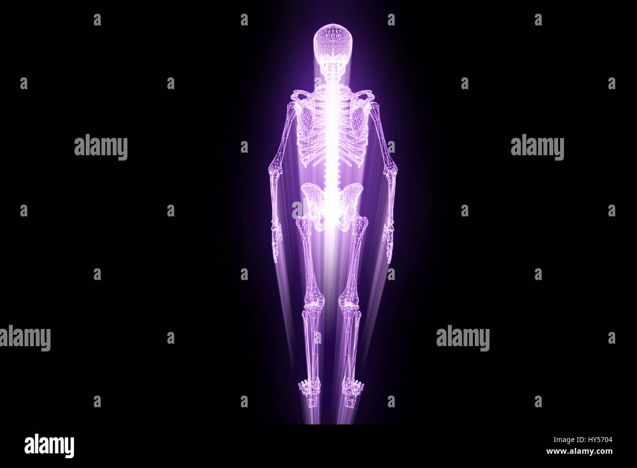 Human Skeleton Wireframe Hologram in Motion. Nice 3D Rendering Stock ...