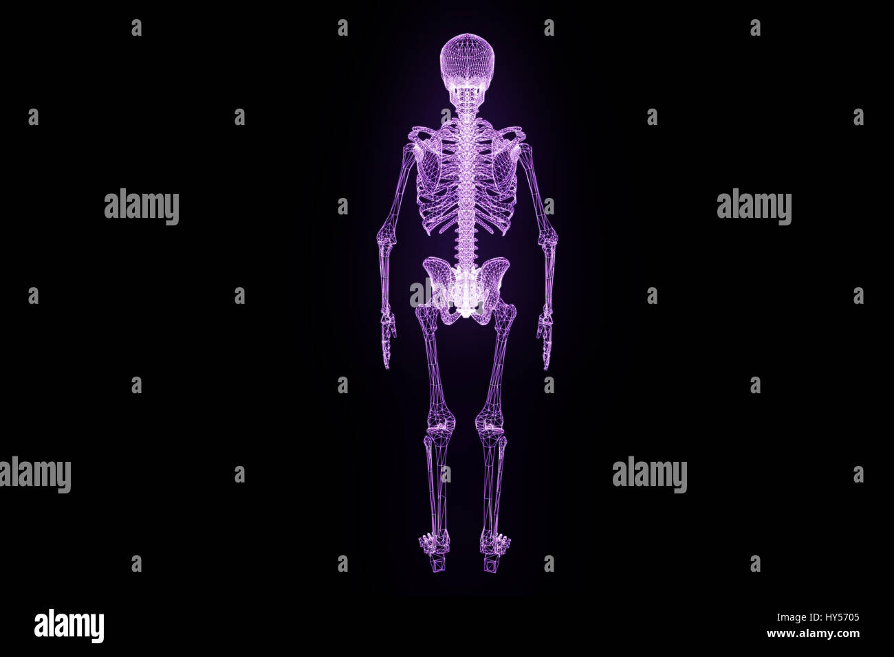 Human Skeleton Wireframe Hologram in Motion. Nice 3D Rendering Stock ...