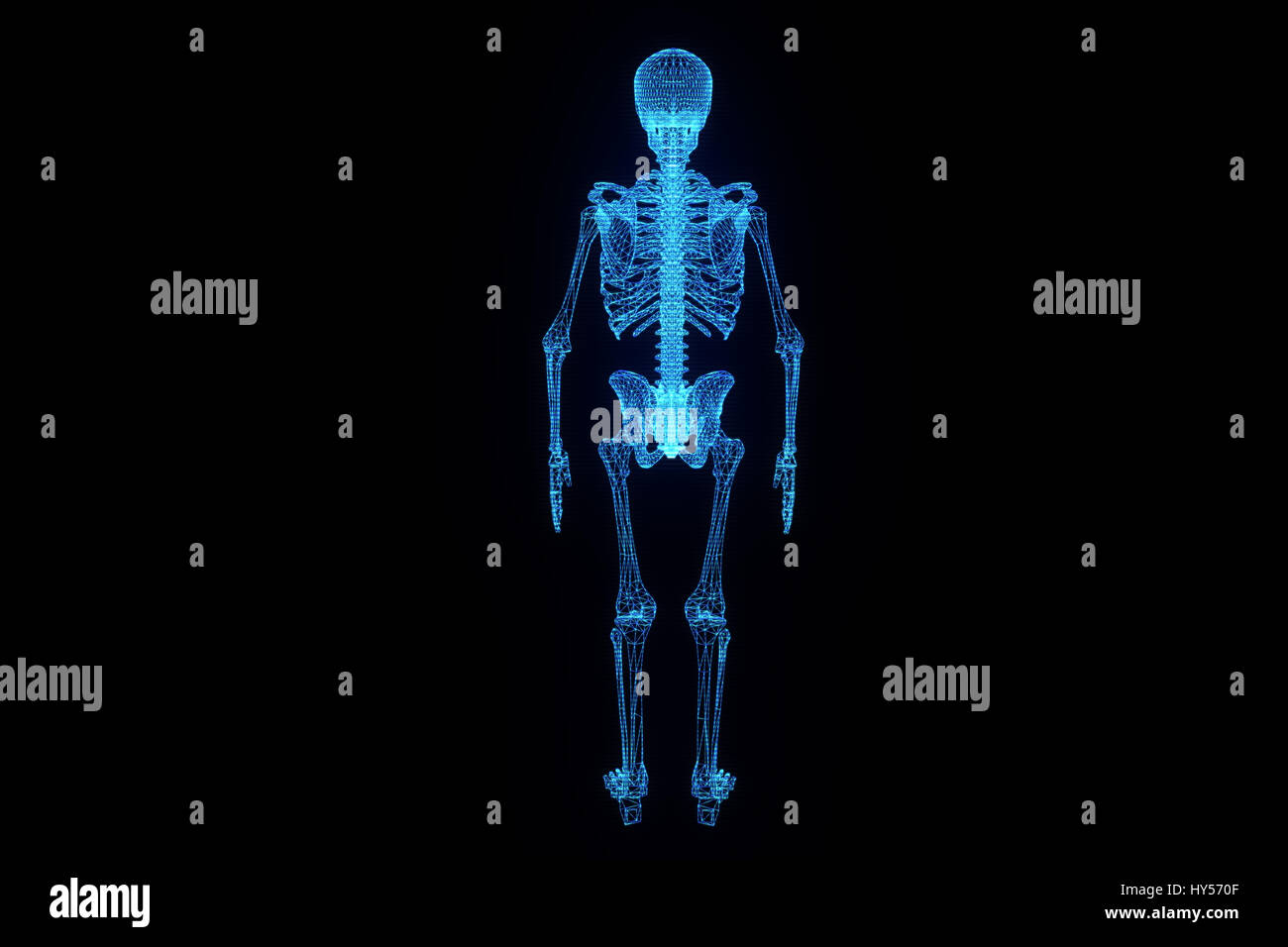 Human Skeleton Wireframe Hologram in Motion. Nice 3D Rendering Stock ...