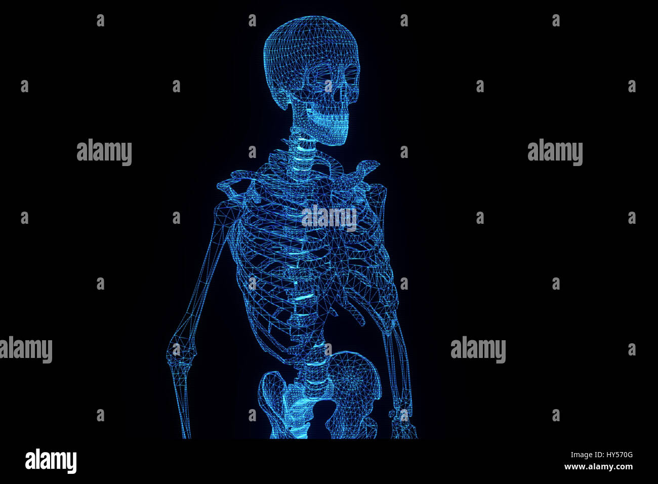 Human Skeleton Wireframe Hologram in Motion. Nice 3D Rendering Stock ...