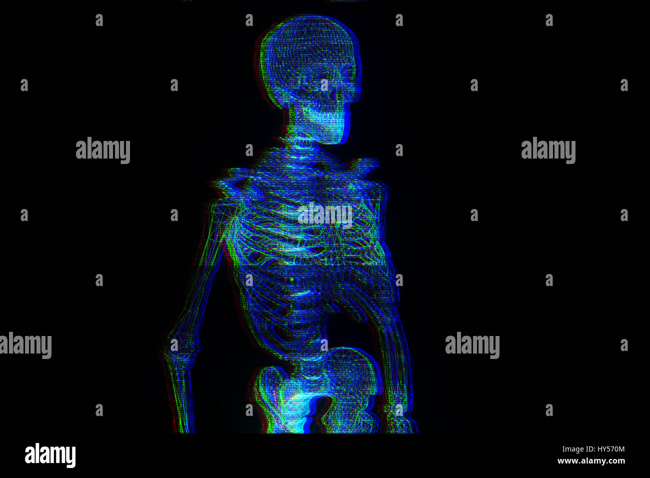 Human Skeleton Wireframe Hologram in Motion. Nice 3D Rendering Stock ...