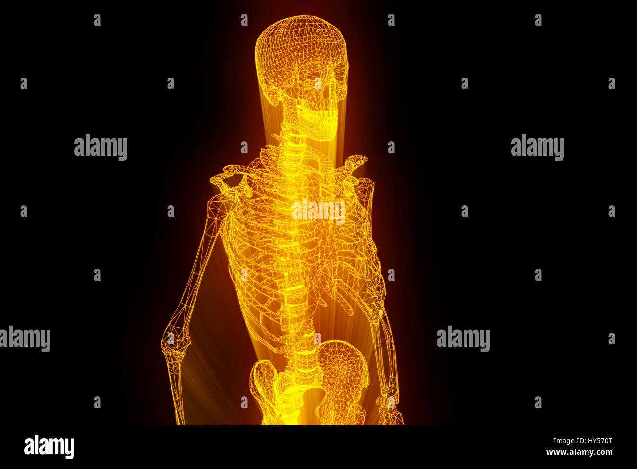 Human Skeleton Wireframe Hologram in Motion. Nice 3D Rendering Stock ...
