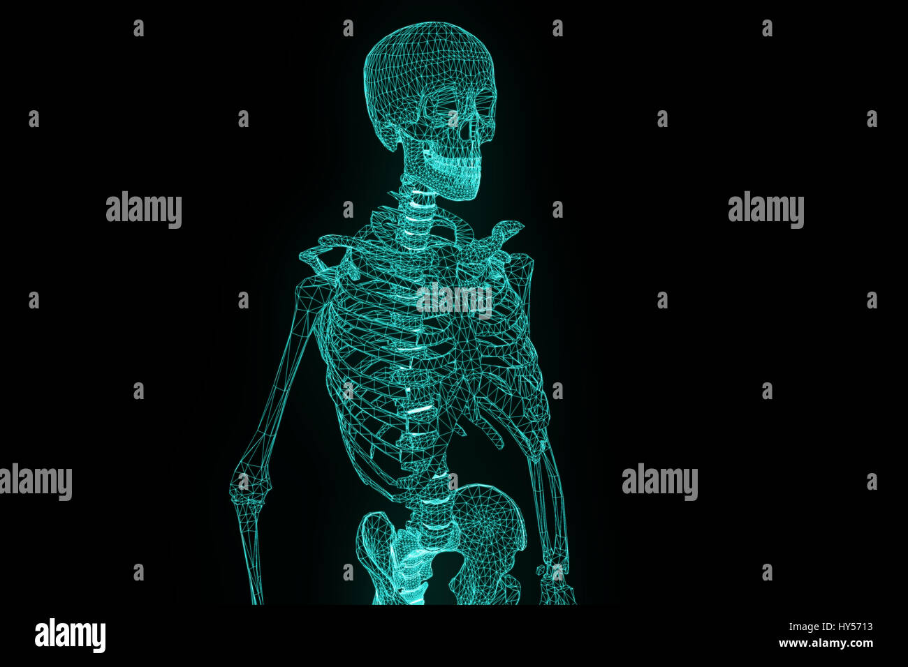 Human Skeleton Wireframe Hologram in Motion. Nice 3D Rendering Stock ...