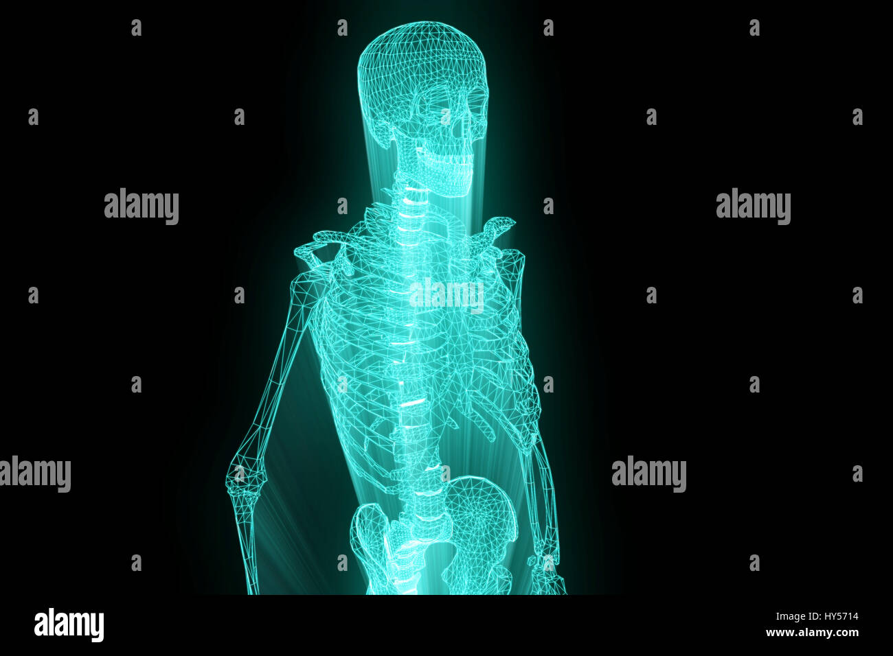 Human Skeleton Wireframe Hologram in Motion. Nice 3D Rendering Stock ...