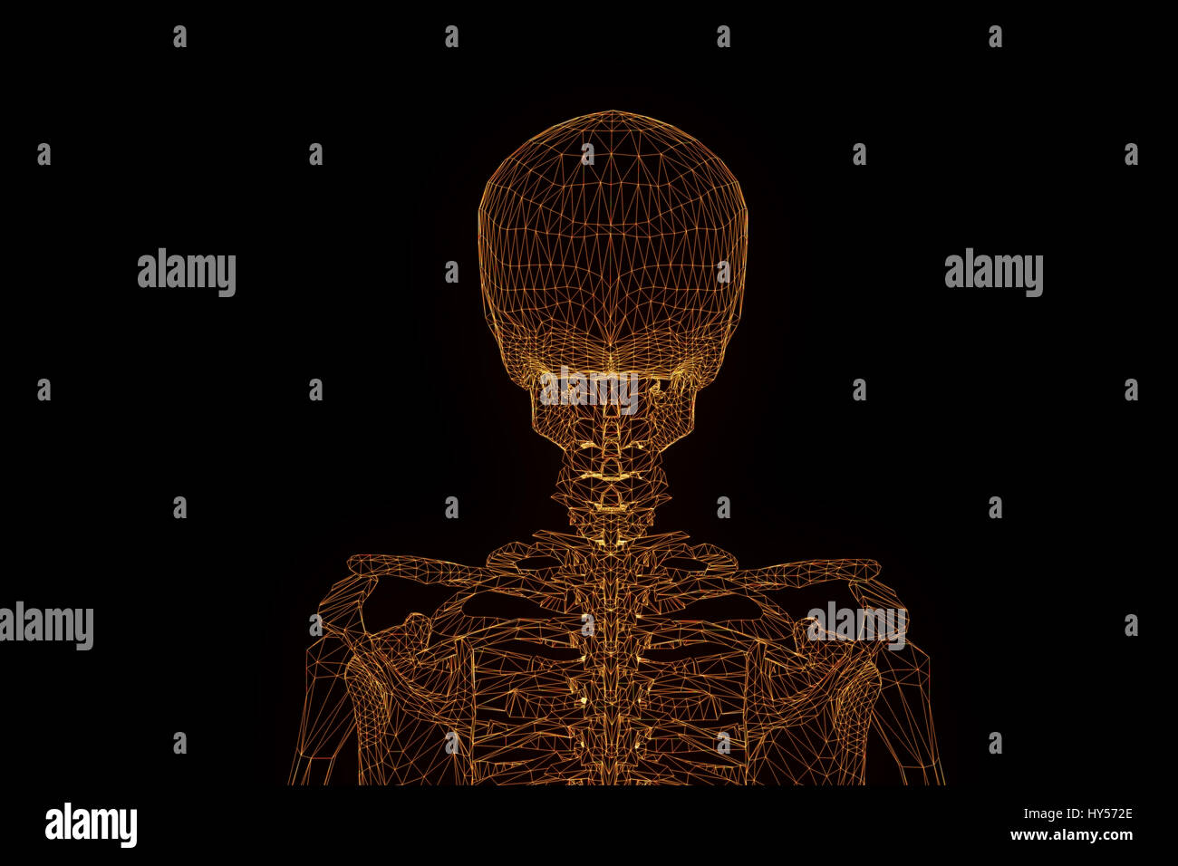 Human Skeleton Wireframe Hologram in Motion. Nice 3D Rendering Stock ...