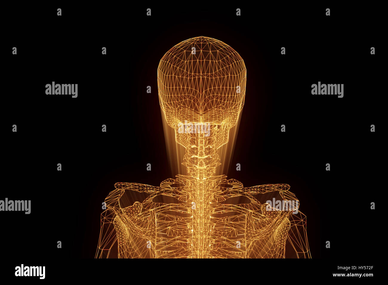 Human Skeleton Wireframe Hologram in Motion. Nice 3D Rendering Stock ...