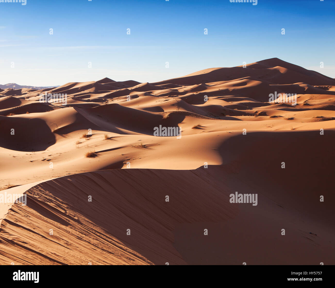 Erg chebbi track hi-res stock photography and images - Alamy