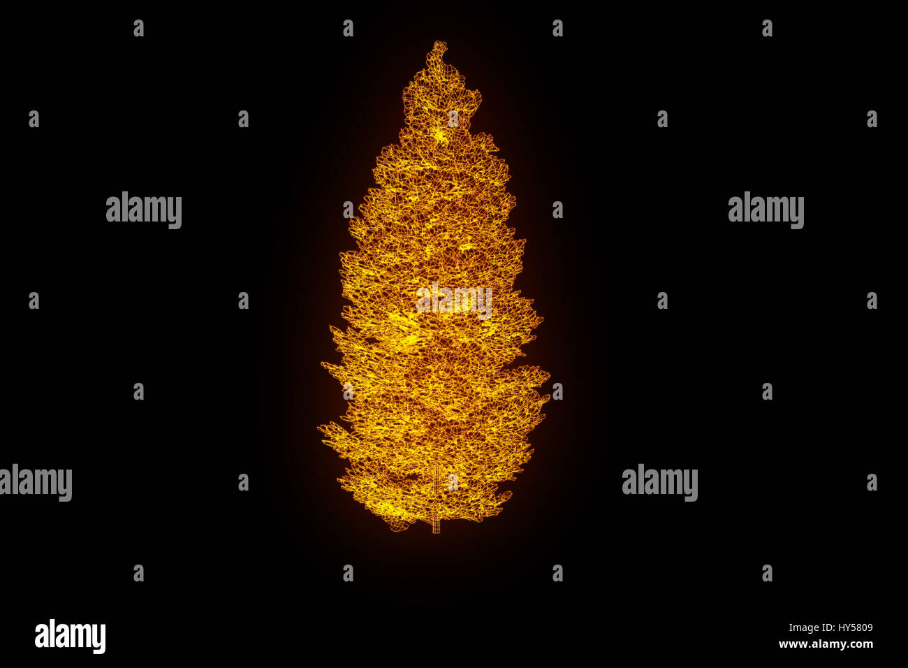 Tree Plant in Wireframe Hologram Style. Nice 3D Rendering Stock Photo ...