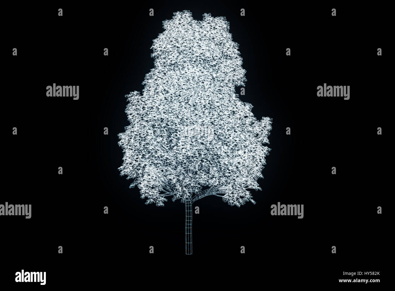 Tree Plant in Wireframe Hologram Style. Nice 3D Rendering Stock Photo ...