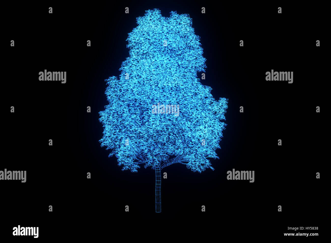 Tree Plant in Wireframe Hologram Style. Nice 3D Rendering Stock Photo ...