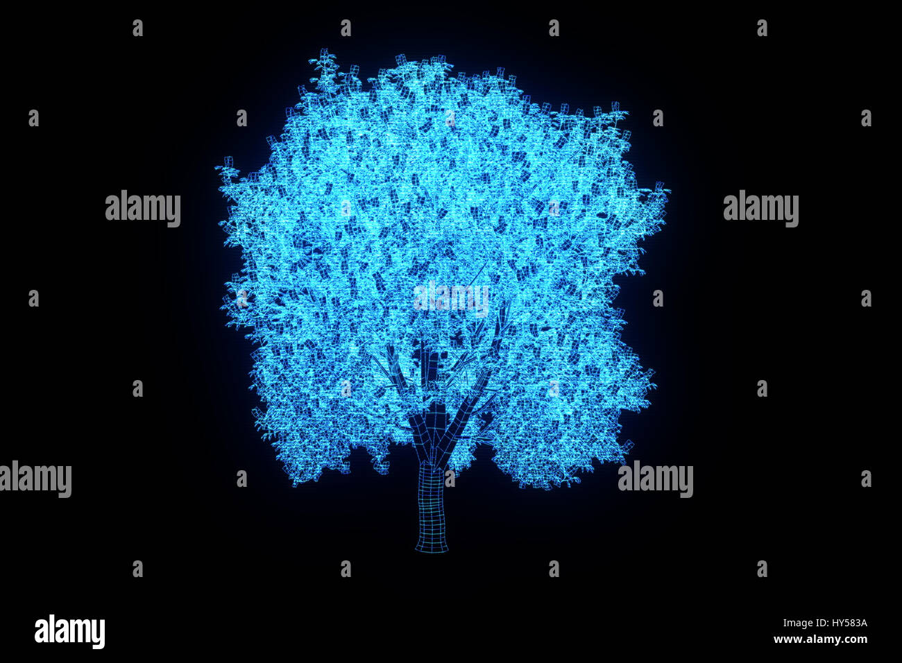 Tree Plant in Wireframe Hologram Style. Nice 3D Rendering Stock Photo ...