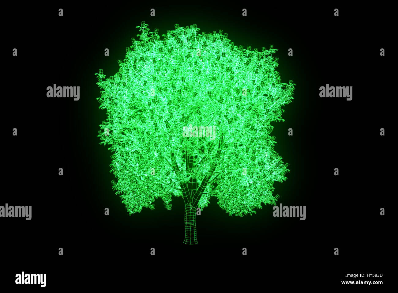 Tree Plant in Wireframe Hologram Style. Nice 3D Rendering Stock Photo ...