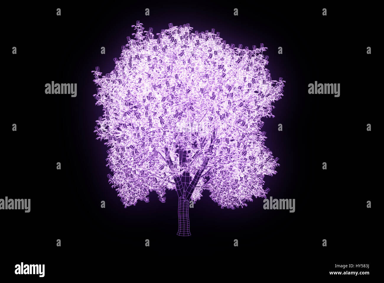 Tree Plant in Wireframe Hologram Style. Nice 3D Rendering Stock Photo ...