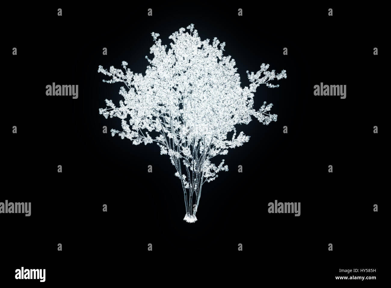Tree Plant in Wireframe Hologram Style. Nice 3D Rendering Stock Photo ...