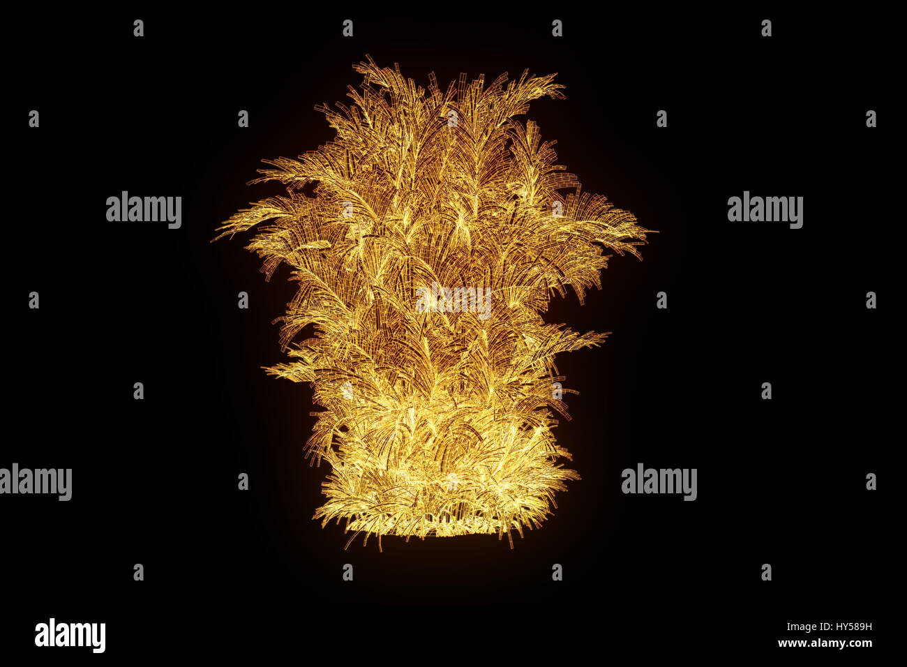 Tree Plant in Wireframe Hologram Style. Nice 3D Rendering Stock Photo ...