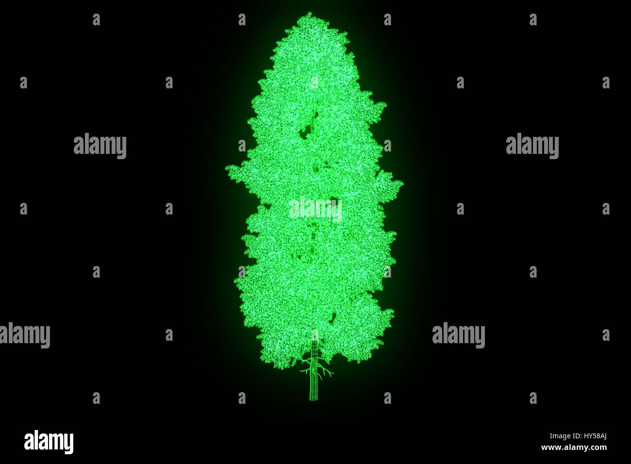 Tree Plant in Wireframe Hologram Style. Nice 3D Rendering Stock Photo ...