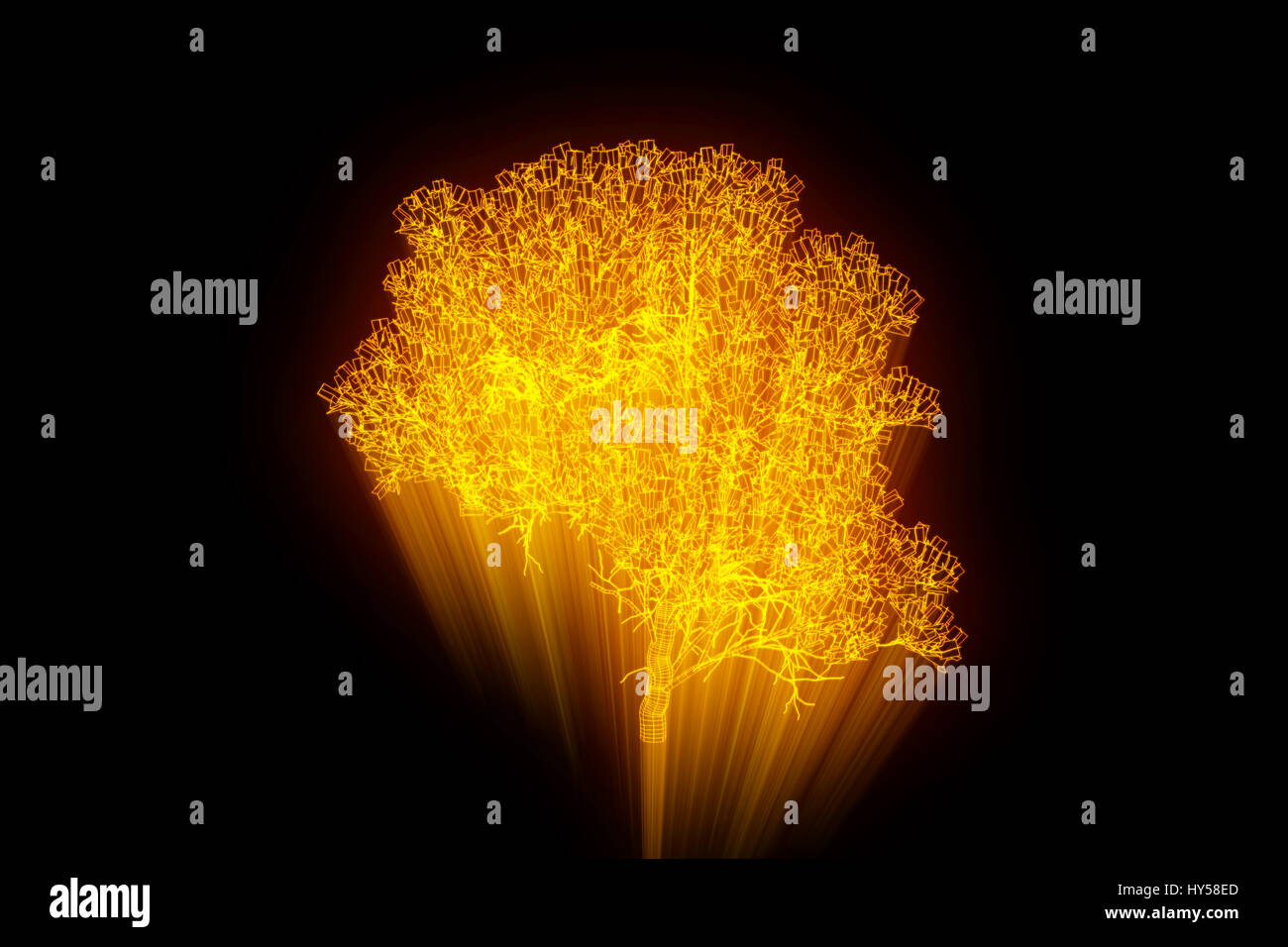 Tree Plant in Wireframe Hologram Style. Nice 3D Rendering Stock Photo ...