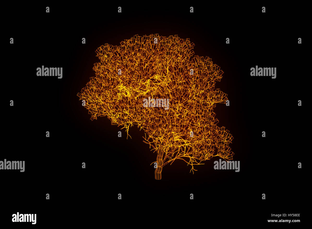 Tree Plant in Wireframe Hologram Style. Nice 3D Rendering Stock Photo ...